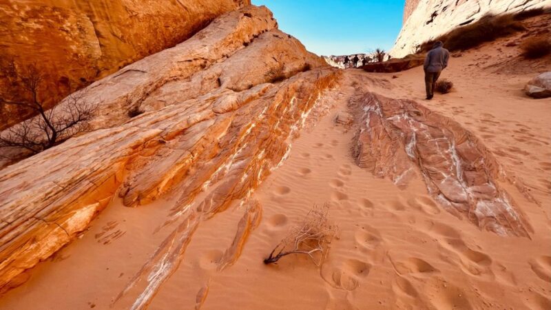 Valley of Fire VIP Small Group Tour From Las Vegas - Transportation and Logistics