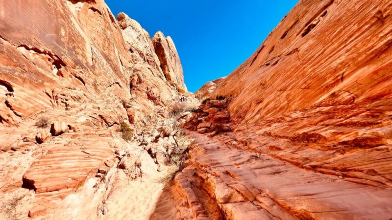 Valley of Fire VIP Small Group Tour From Las Vegas - Who This Tour Suits Best