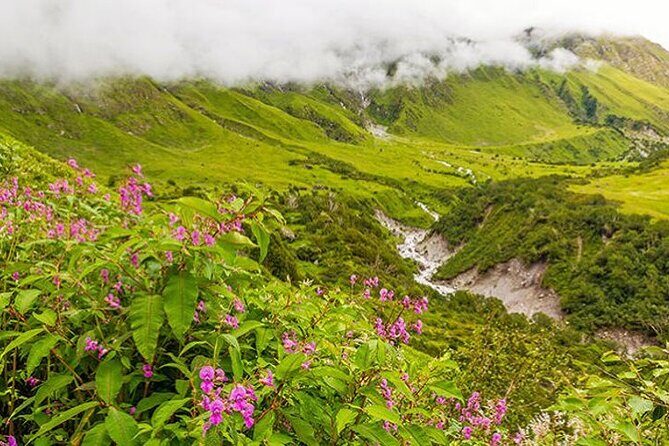 Valley of Flowers and Hemkund Trek- Banbanjara - Key Points