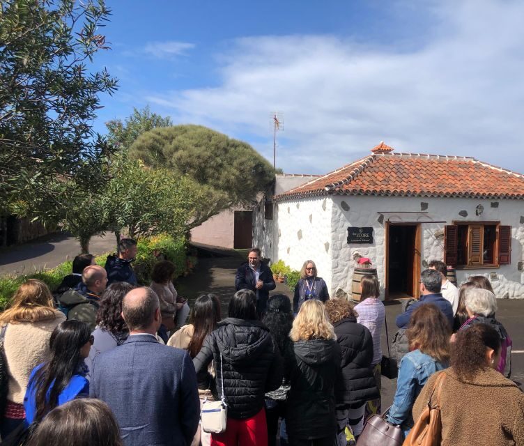 Valley of Tegueste: Wine Tour with Tasting at El Lomo Winery - A Closer Look at the Itinerary