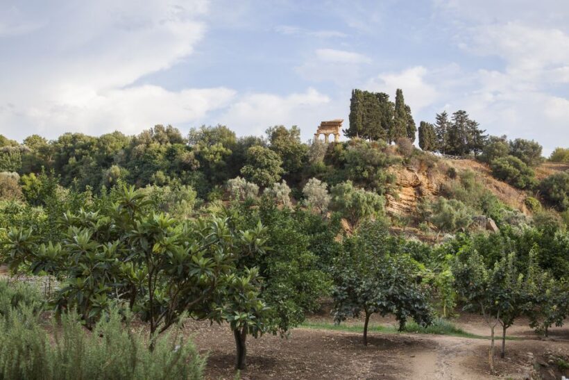 Valley of the Temples: Kolymbethra Garden Entry Ticket - A Detailed Look at the Experience