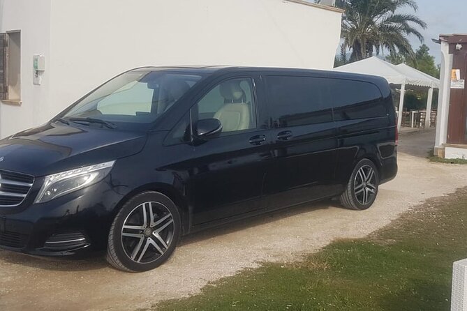 Valley of the Temples Tour from Palermo to Catania - Who Should Consider This Tour?