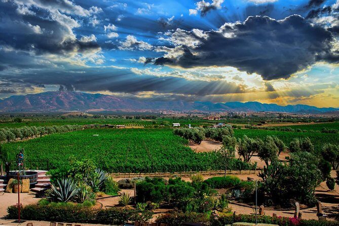 Valley tour /Bakuss/bloodlust/Relief/restaurant Elena/justina - Additional Highlights and Considerations