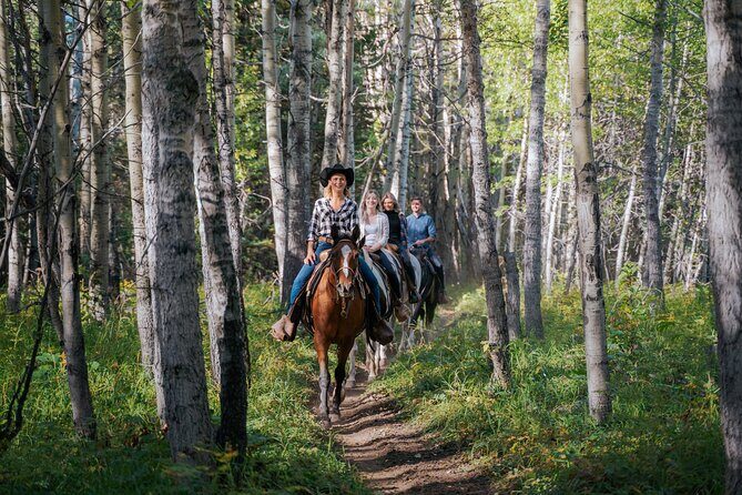 Valley Vista 1.5 Hour Horseback Trail Ride in Kananaskis - An In-Depth Look at the Tour
