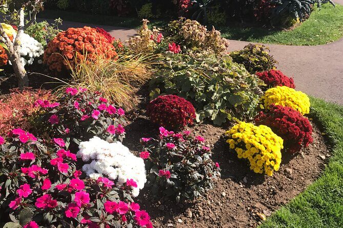 Valley Wine Tour. You will buy your own wine and meals. - An In-Depth Look at the Valley Wine Tour