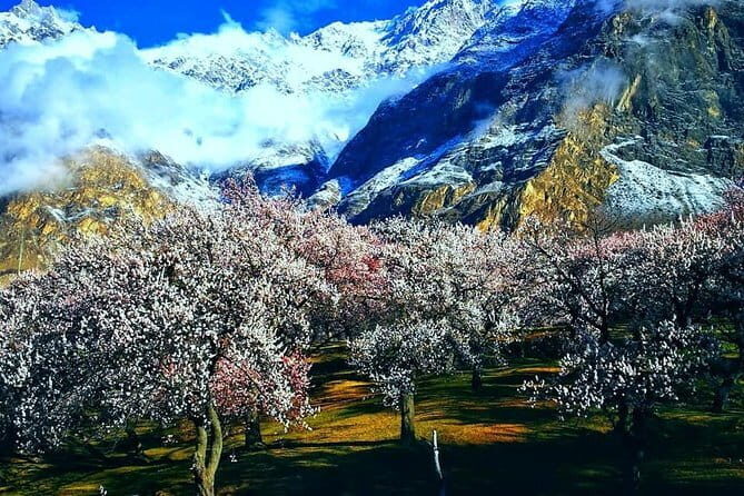 Valleys of Majesty Trails and Culture of Hunza - What Makes This Tour Stand Out?