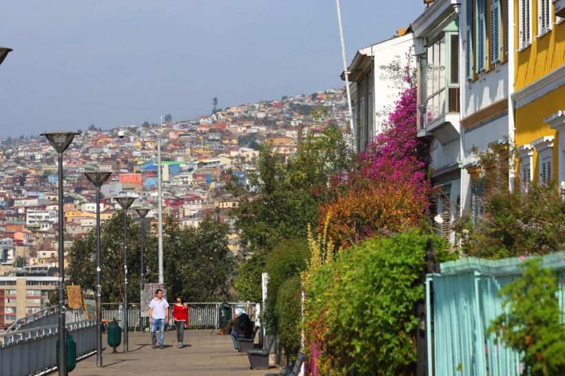 Valparaiso 3-Hour Walking Tour - What the Reviews Say