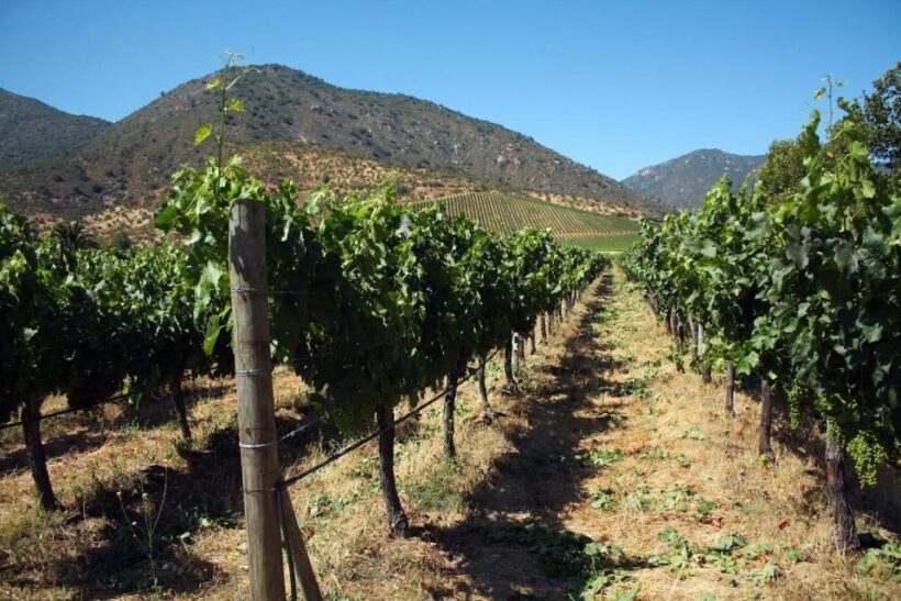 Valparaíso, Viña del Mar and Casablanca Full Day Experience - Key Points