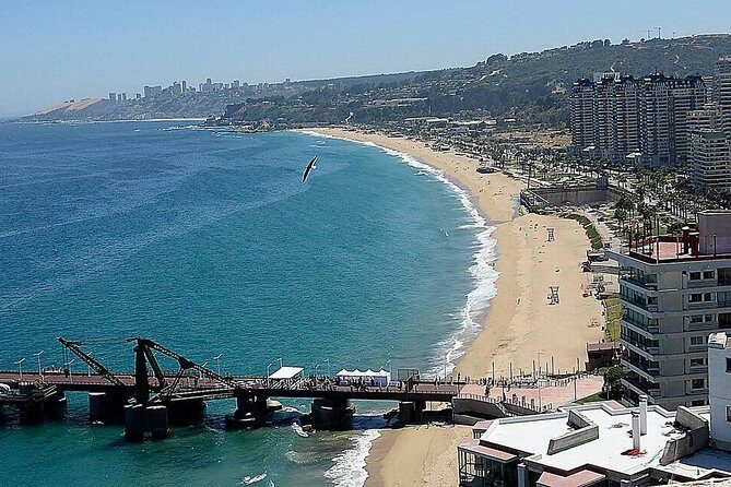 Valparaiso & Viña Del Mar, Museum & Lunch FROM STGO. Private Tour - Who Should Consider This Tour?