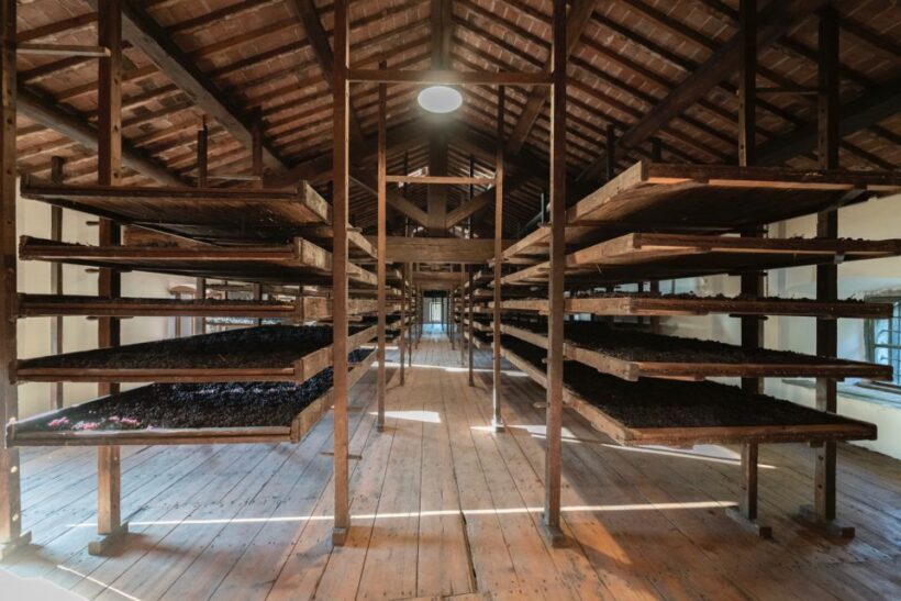 Valpolicella: Amarone Chateau Guided Tour and Wine Tasting - Who Should Book This Tour?