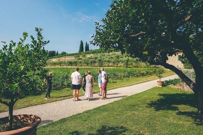 Valpolicella and Amarone Wine-Tasting Tour From Verona - Customer Reviews and Feedback