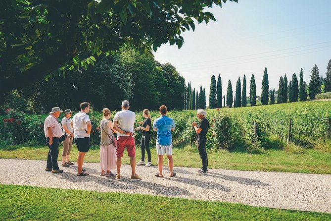 Valpolicella and Amarone Wine-Tasting Tour From Verona - Discovering the Art of Winemaking
