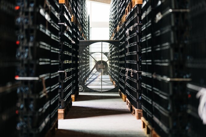 Valpolicella Lunch or Dinner Wine & Food Tasting With Amarone - Starters