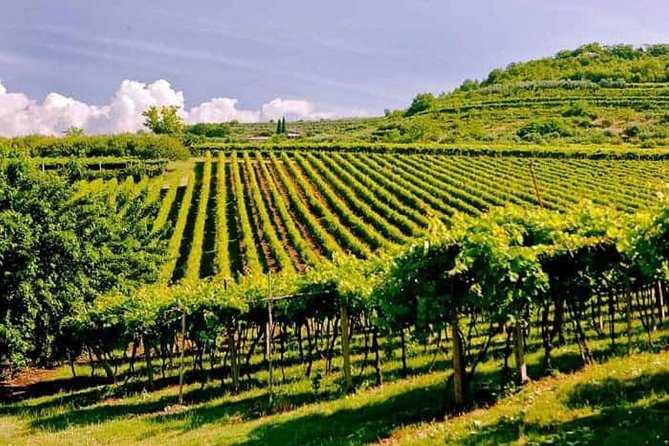 Valpolicella - The wine paradise - Introduction to Valpolicella’s Charm