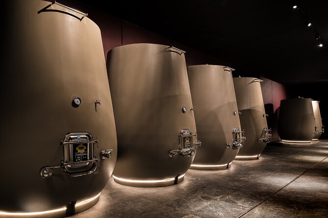 Valpolicella Wine Tasting Experience & Light Lunch - Guest Reviews and Feedback