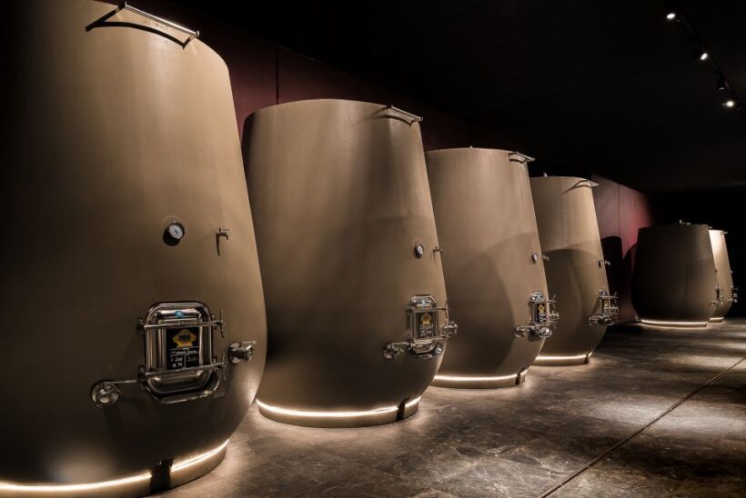 Valpolicella: Wine Tasting With A Sommelier and Light Lunch - A Detailed Look at the Valpolicella Wine Tasting Tour