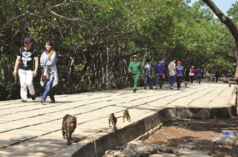 Vam Sat Biosphere & Monkey Island Tour From Sai Gon - Practical Tips for Travelers