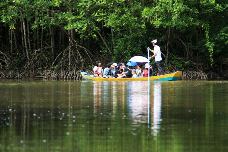 Vam Sat Mangrove Forest Private Tour from Ho Chi Minh City - Who Should Consider This Tour?