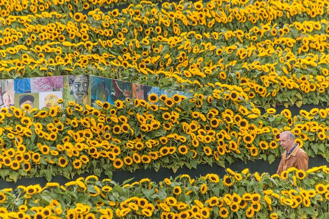 Van Gogh Museum Skip the Queue With Audio Guide - Customer Reviews and Feedback