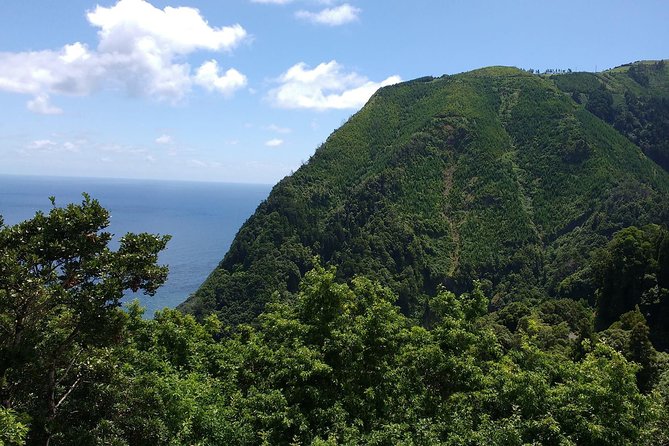 Van Scenictour Nordeste / Povoação Full Day/ with lunch (Shared) - What the Tour Includes and What You Should Consider