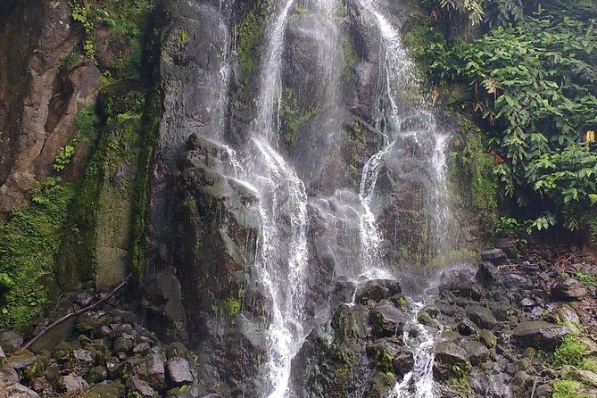 Van Scenictour Nordeste / Povoação Full Day/ with lunch (Shared) - Authentic Experiences and Genuine Impressions