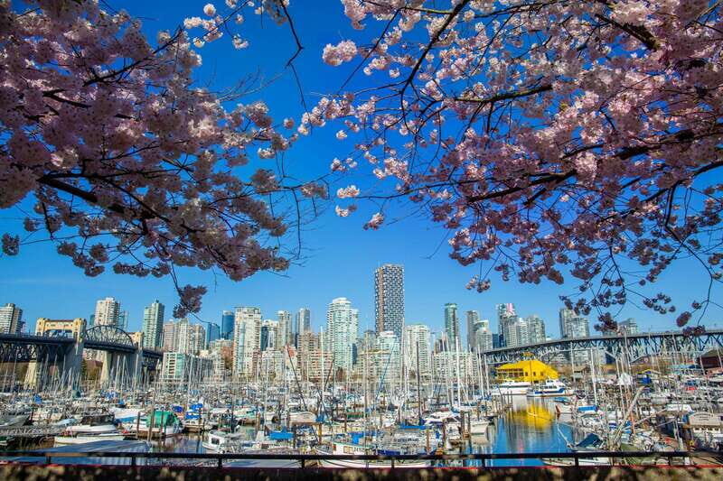 Vancouver: 24 or 48-Hour Hop-On Hop-Off Trolley Tour Pass - What to Expect from the Experience