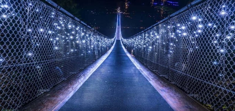 Vancouver: Attractions by Twilight Guided Tour with Dinner - Key Points