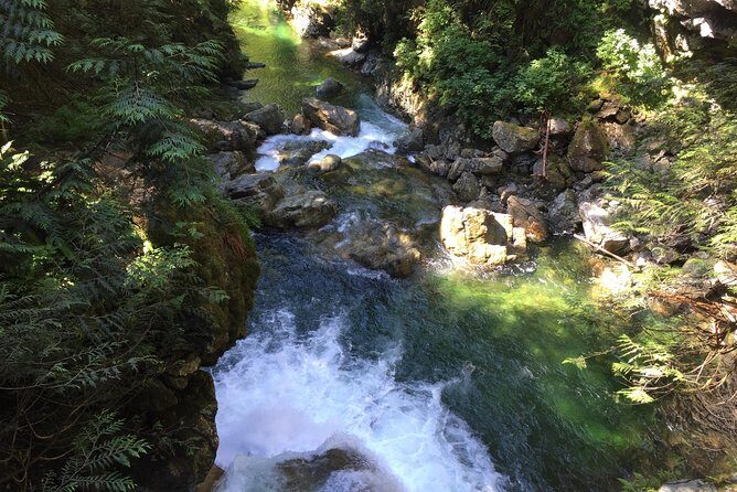 Vancouver Biking and Hiking Tour including Lunch - Who Will Love This Tour?