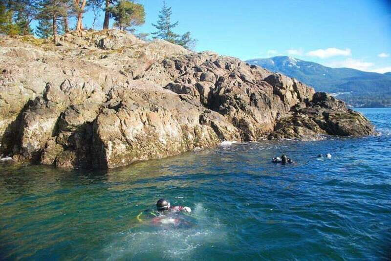 Vancouver: Boat Dive for Certified Diver, Tank & Weight Incl - Key Points