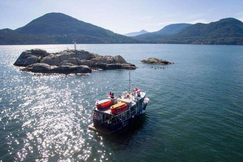 Vancouver: Boat Dive for Certified Diver, Tank & Weight Incl - FAQ