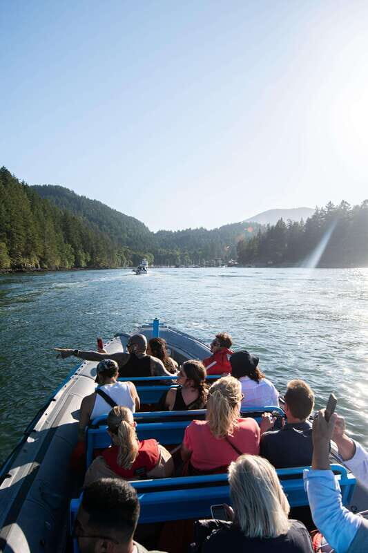 Vancouver: Boat to Bowen Island on UNESCO Howe Sound Fjord - Final Thoughts: Who Is This Tour Best For?