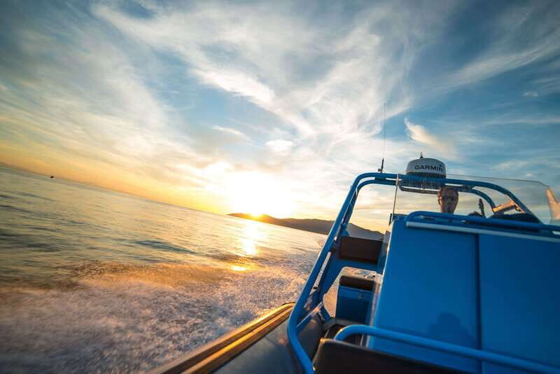 Vancouver: Bowen Island Boat Cruise with Dinner - Final Thoughts: Who Will Love This Tour?