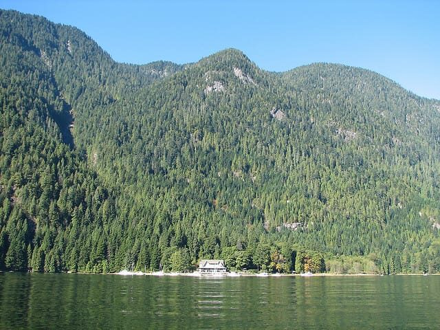 Vancouver Brunch Cruise - Frequently Asked Questions