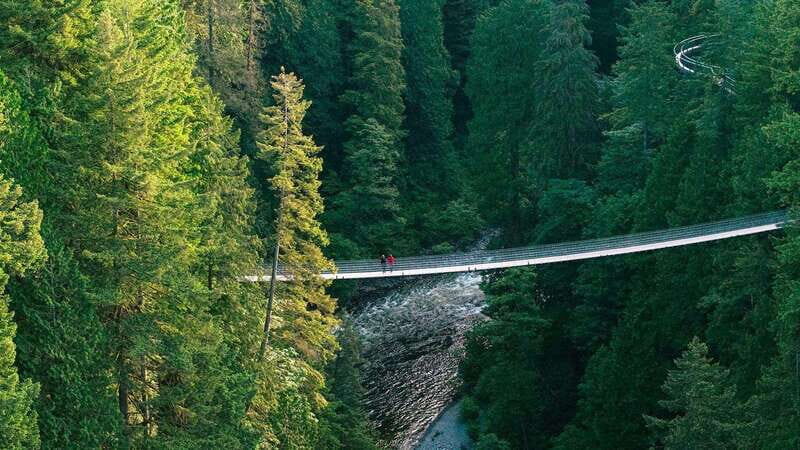 Vancouver: Capilano Suspension Bridge Park Ticket - Practical Details and Logistics