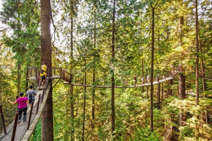 Vancouver: Capilano Suspension Bridge Park Ticket - FAQ - Frequently Asked Questions