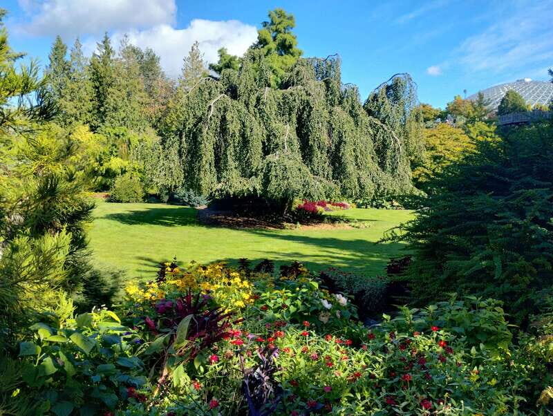 Vancouver Car Tour: See All City Attractions/Save Time&Money - Key Points