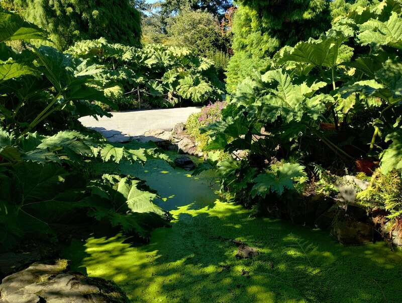 Vancouver Car Tour: See All City Attractions/Save Time&Money - Who Will Love This Tour?