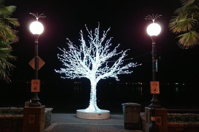 Vancouver Christmas Festival of Lights - FAQs