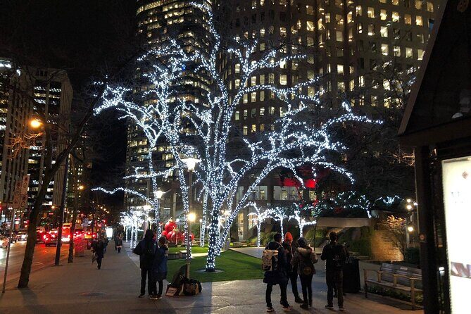 Vancouver Christmas Light Tour private - The Sum Up