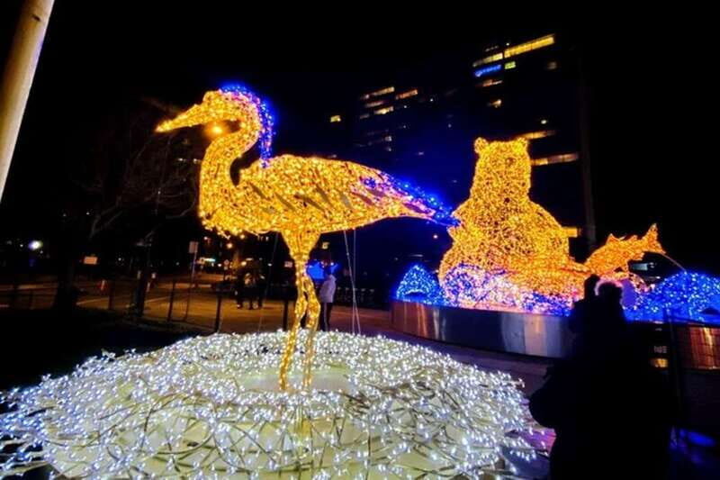 Vancouver Christmas Light Tour private - An Inside Look at the Vancouver Christmas Lights Tour