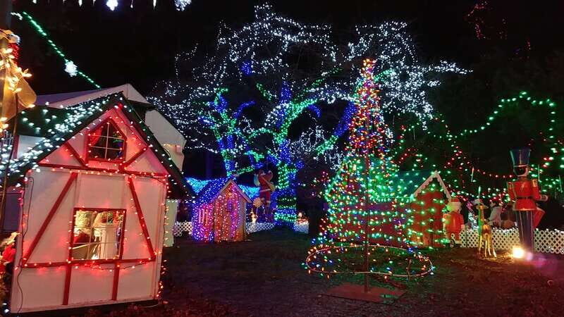 Vancouver: Christmas Tour with Light Festival Entrance - Exploring Vancouver’s Holiday Lights: A Practical and Festive Journey