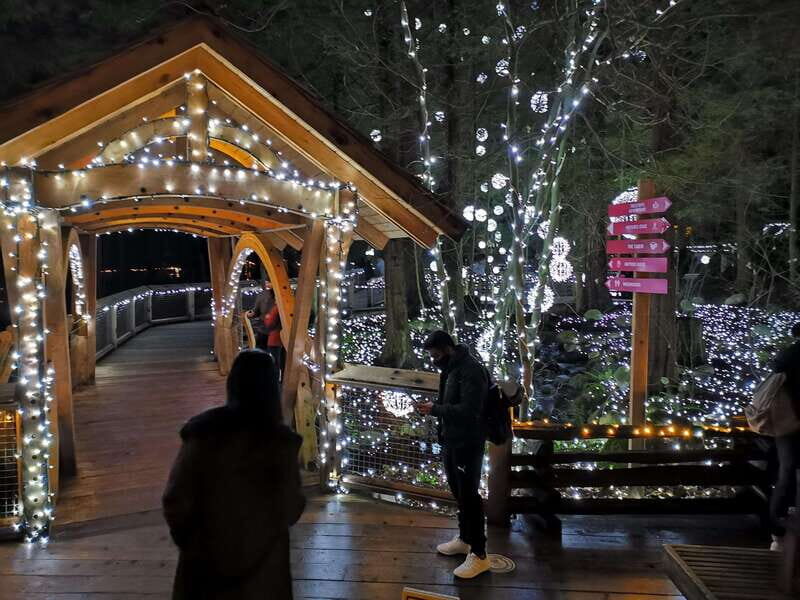 Vancouver: Christmas Tour with Light Festival Entrance - The Sum Up