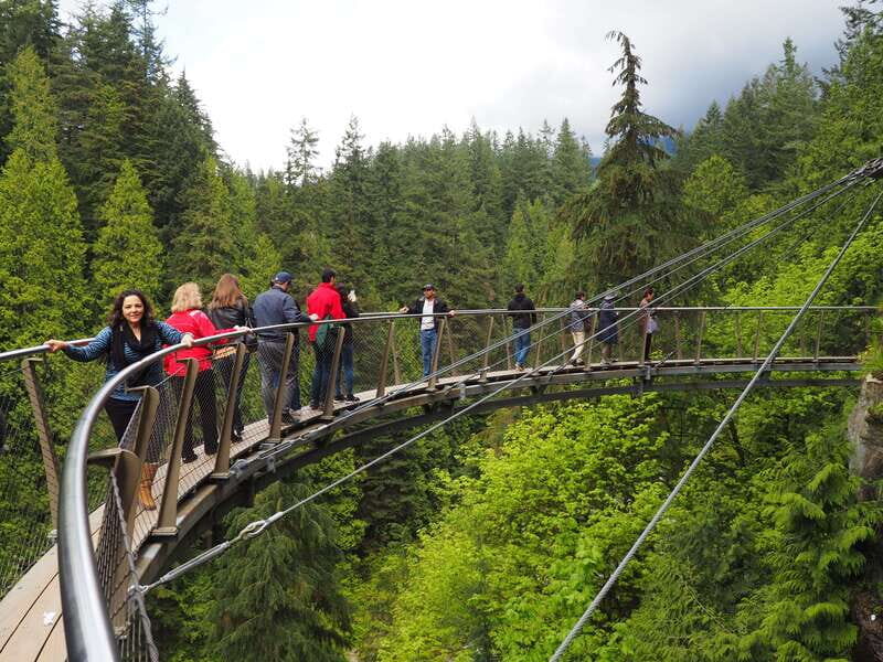 Vancouver City and Capilano Park Private Tour - Unique Vancouver Stops: From Olympic Village to Lonsdale Quay