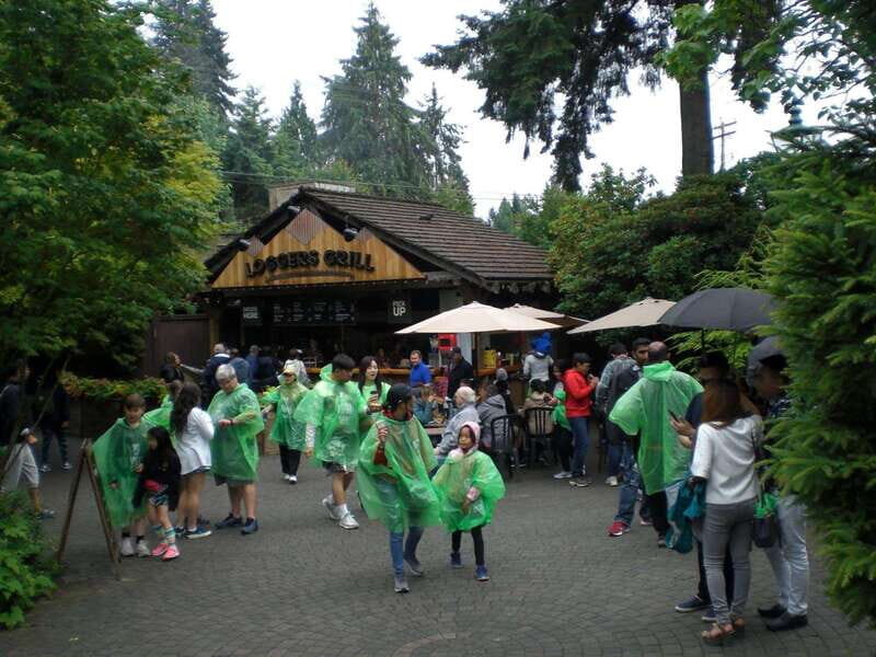 Vancouver: City and Mountain Adventure with Grouse Mountain - Key Points