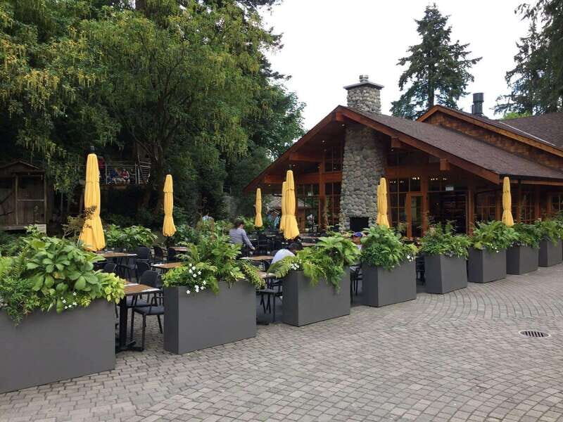 Vancouver: City and Mountain Adventure with Grouse Mountain - A Detailed Look at the Tour Experience