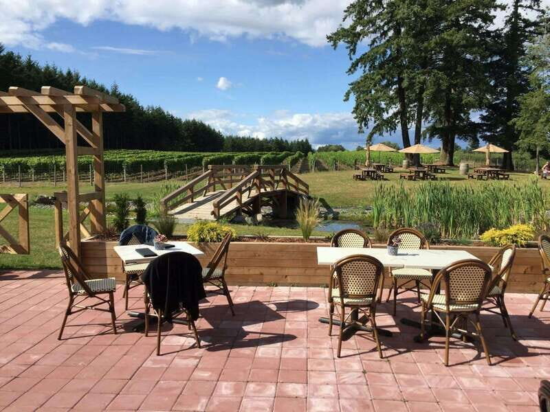 Vancouver: City Highlights and Fraser Valley Wine Tour - Key Points