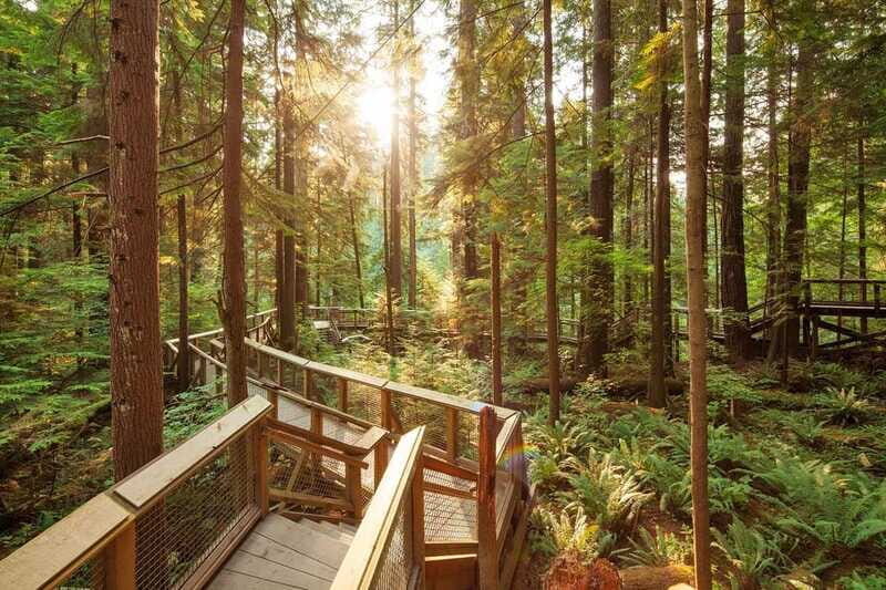 Vancouver: City Highlights Bus Tour - Who Will Love This Tour