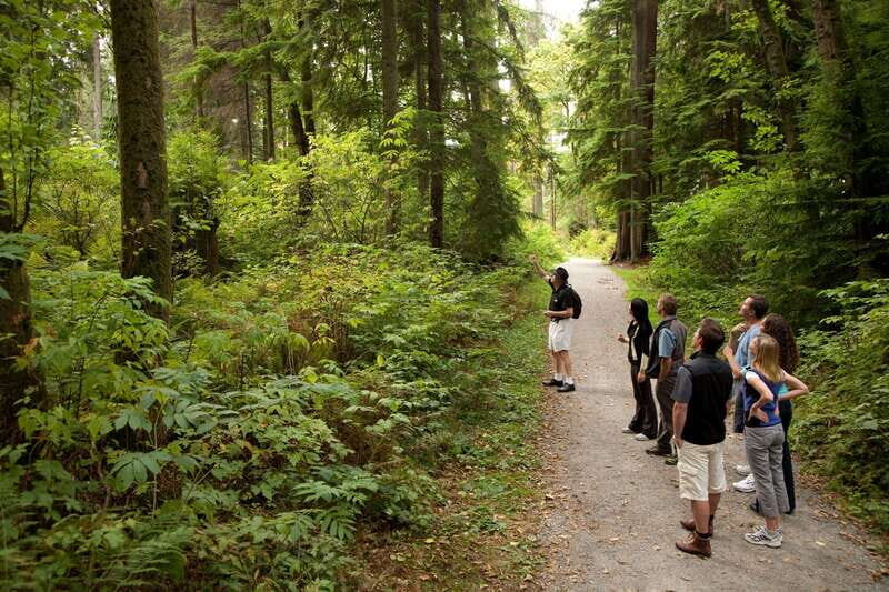 Vancouver: City + Lookout Tour & Option to Add YVR Drop-Off - Pricing and Value