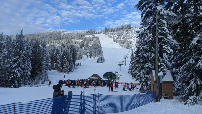 Vancouver city tour & Adventure at Cypress Mountain Private - The Value of the Experience