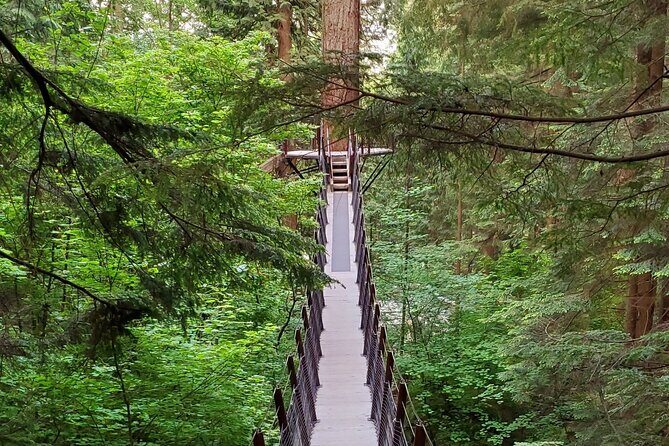 Vancouver City Tour: Capilano Bridge and Stanley Park - Exploring Vancouver in Detail